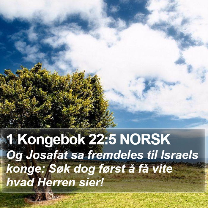 1 Kongebok 22:5 NORSK - Og Josafat sa fremdeles til Israels konge: Søk