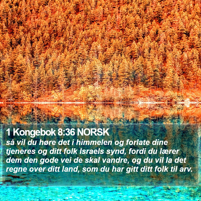 1 Kongebok 8:36 NORSK - så vil du høre det i himmelen og forlate dine
