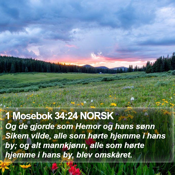 1 Mosebok 34:24 NORSK - Og de gjorde som Hemor og hans sønn Sikem vilde,