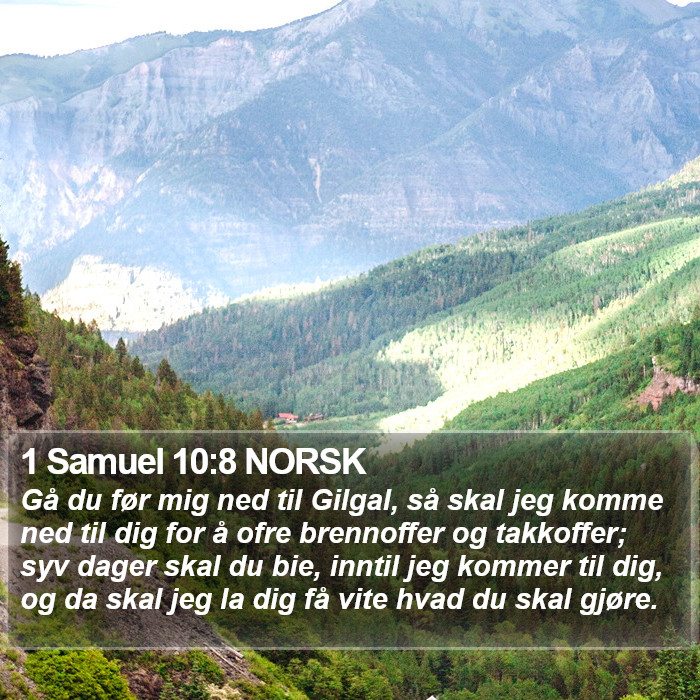 1 Samuel 10:8 NORSK - Gå du før mig ned til Gilgal, så skal jeg