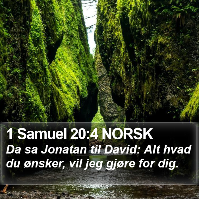 1 Samuel 20:4 NORSK - Da sa Jonatan til David: Alt hvad du ønsker, vil