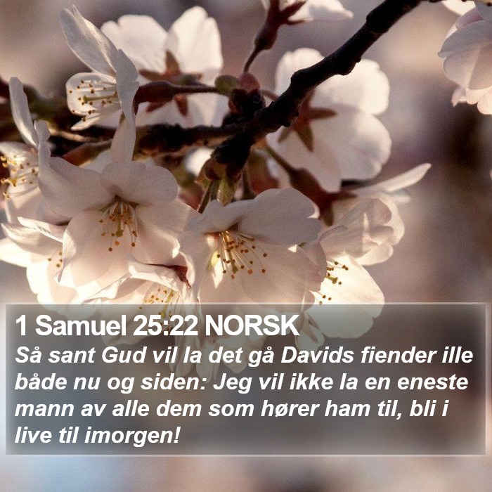 1 Samuel 25:22 NORSK - Så sant Gud vil la det gå Davids fiender ille