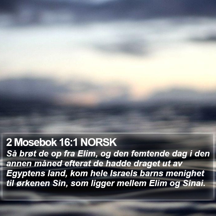 2 Mosebok 16:1 NORSK - Så brøt de op fra Elim, og den femtende dag i
