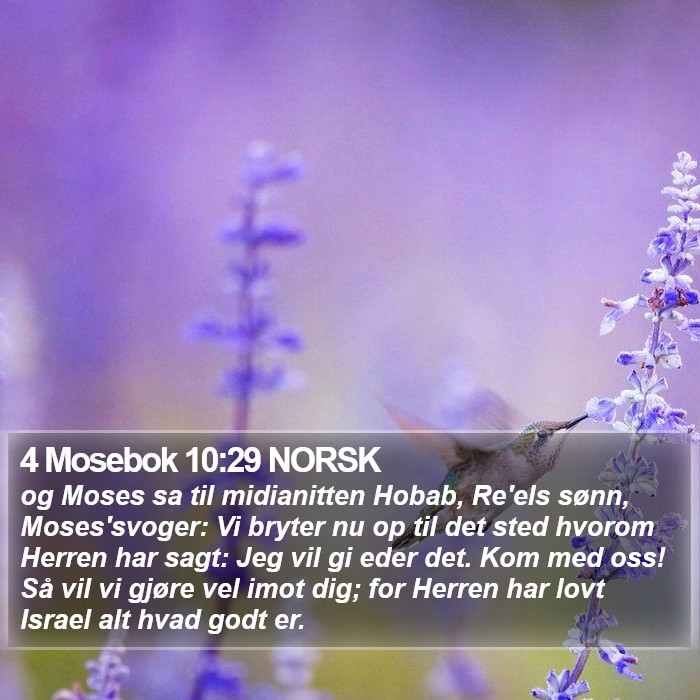 4 Mosebok 10:29 NORSK - og Moses sa til midianitten Hobab, Re'els sønn,