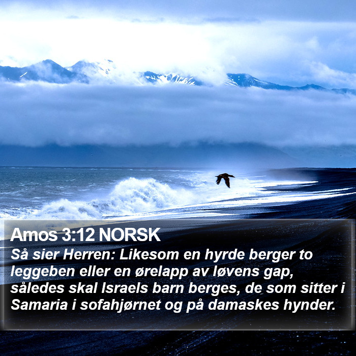 Amos 3:12 NORSK - Så sier Herren: Likesom en hyrde berger to