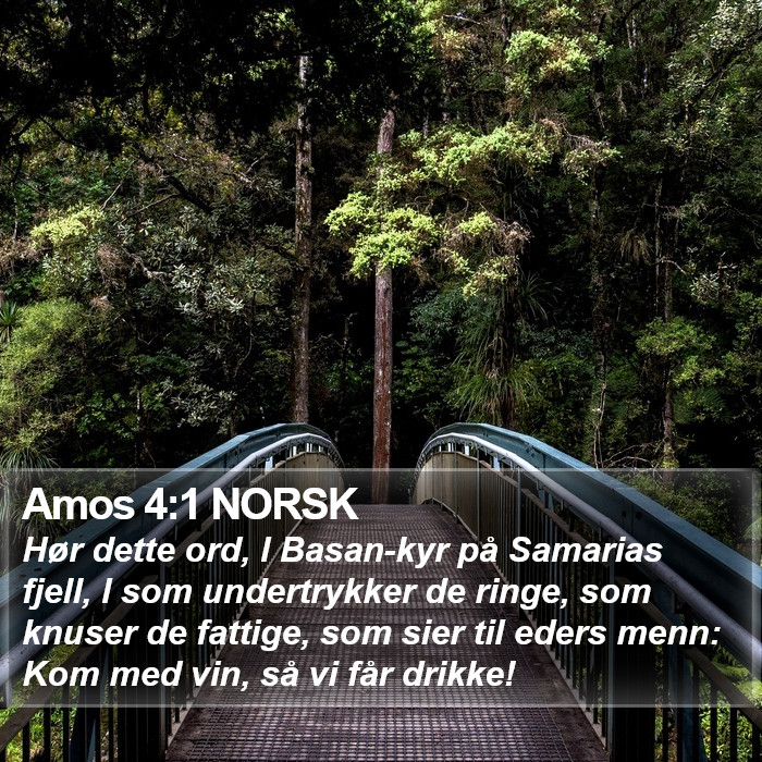 Amos 4:1 NORSK - Hør dette ord, I Basan-kyr på Samarias fjell, I