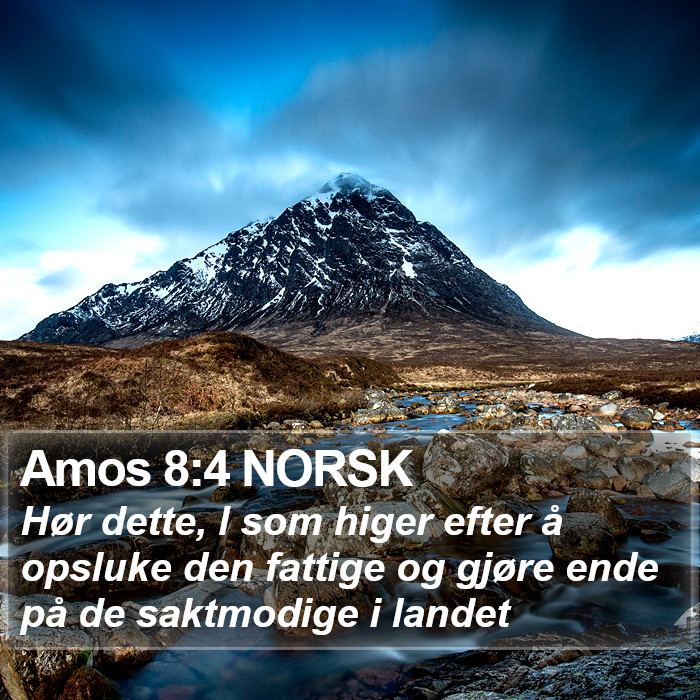 Amos 8:4 NORSK - Hør dette, I som higer efter å opsluke den