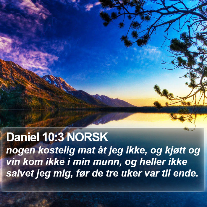 Daniel 10:3 NORSK - nogen kostelig mat åt jeg ikke, og kjøtt og vin