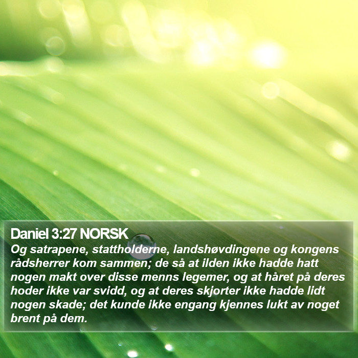 Daniel 3:27 NORSK - Og satrapene, stattholderne, landshøvdingene og