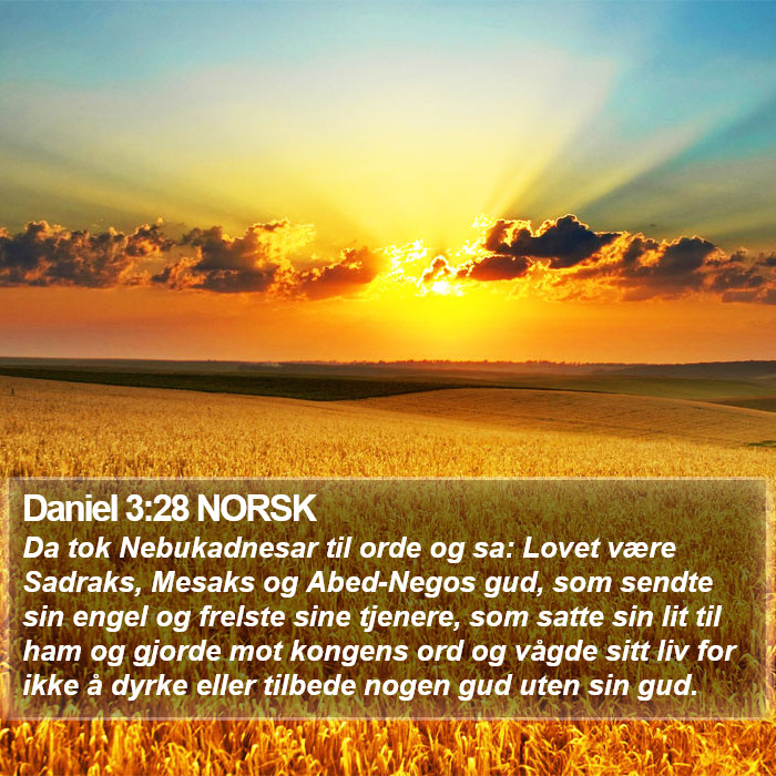 Daniel 3:28 NORSK - Da tok Nebukadnesar til orde og sa: Lovet være
