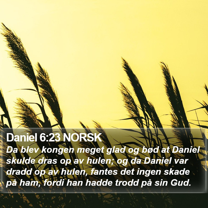 Daniel 6:23 NORSK - Da blev kongen meget glad og bød at Daniel