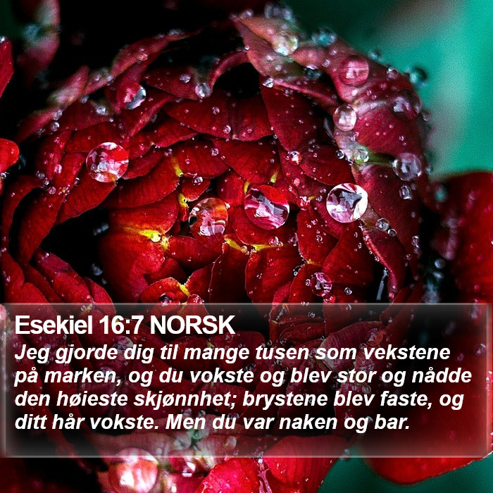 Esekiel 16:7 NORSK - Jeg gjorde dig til mange tusen som vekstene på