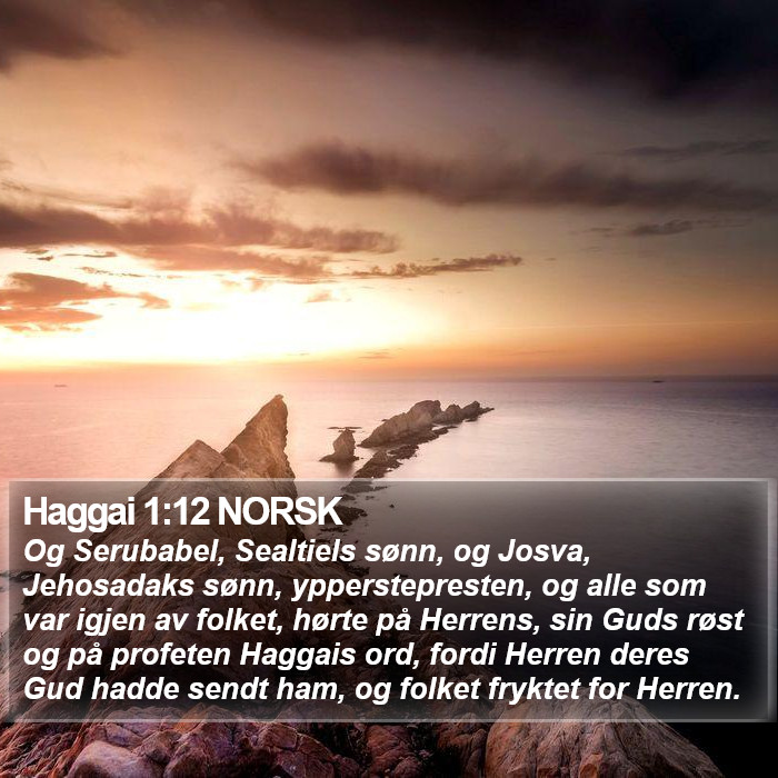 Haggai 1:12 NORSK - Og Serubabel, Sealtiels sønn, og Josva,