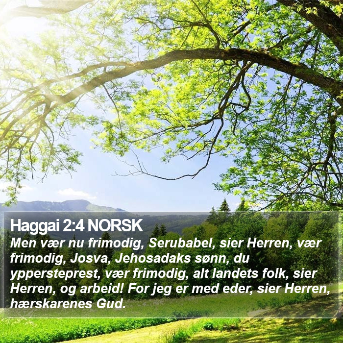 Haggai 2:4 NORSK - Men vær nu frimodig, Serubabel, sier Herren,