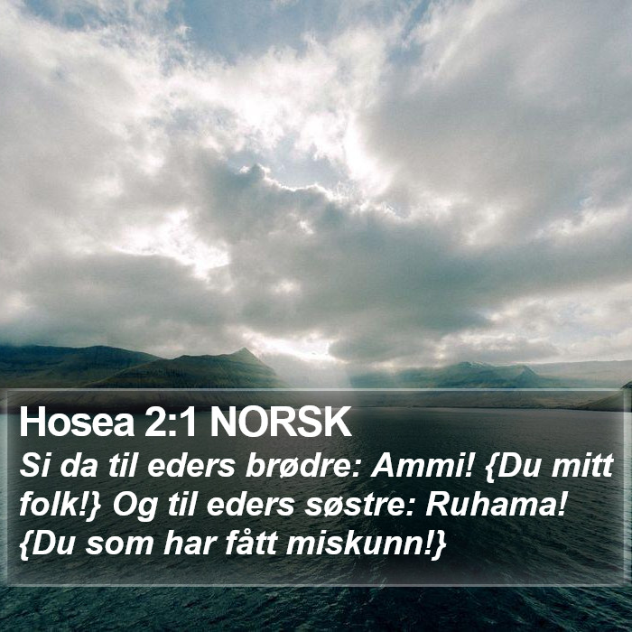 Hosea 2:1 NORSK - Si da til eders brødre: Ammi! {Du mitt folk!} Og