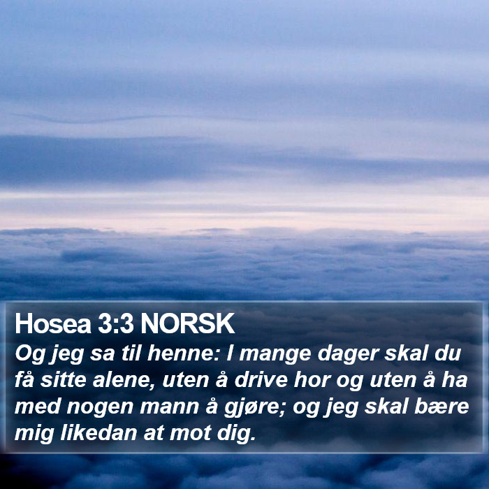Hosea 3:3 NORSK - Og jeg sa til henne: I mange dager skal du få