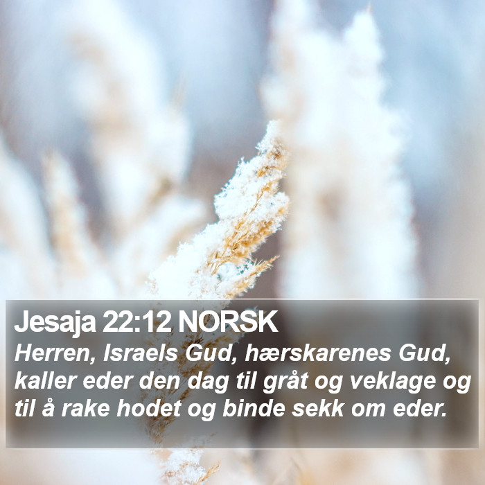 Jesaja 22:12 NORSK - Herren, Israels Gud, hærskarenes Gud, kaller