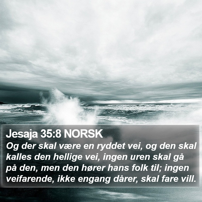 Jesaja 35:8 NORSK - Og der skal være en ryddet vei, og den skal