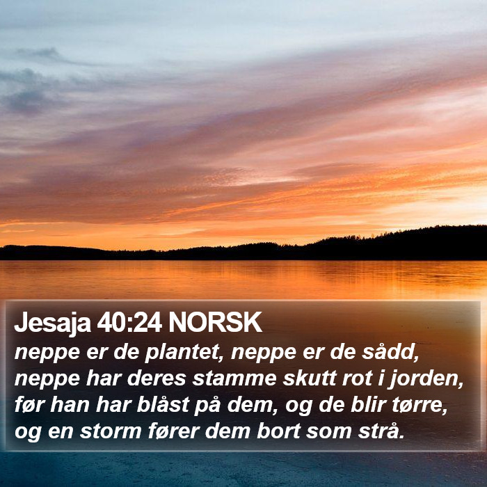 Jesaja 40:24 NORSK - neppe er de plantet, neppe er de sådd, neppe har