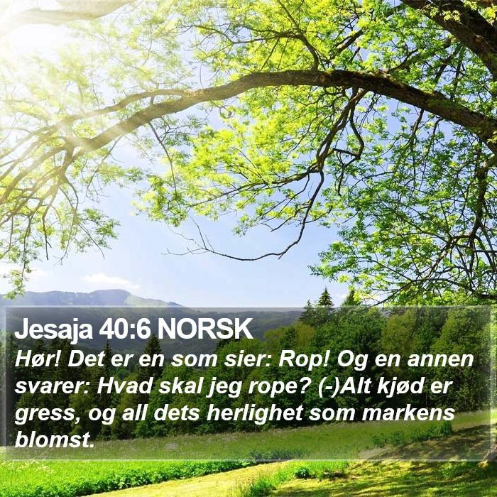 Jesaja 40:6 NORSK - Hør! Det er en som sier: Rop! Og en annen