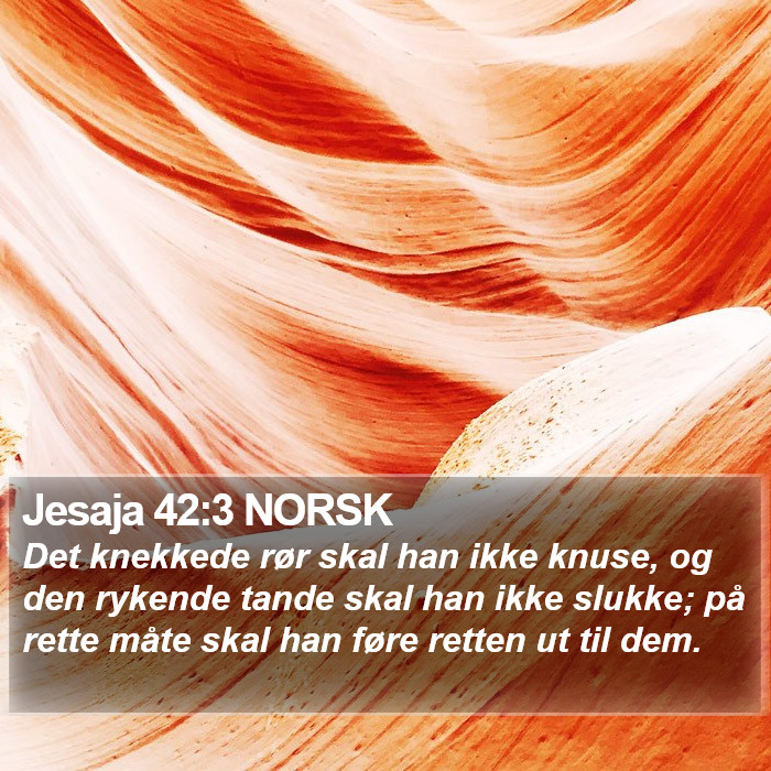 Jesaja 42:3 NORSK - Det knekkede rør skal han ikke knuse, og den