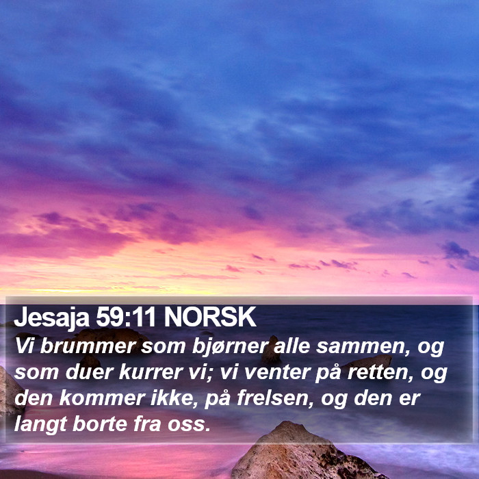 Jesaja 59:11 NORSK - Vi brummer som bjørner alle sammen, og som duer