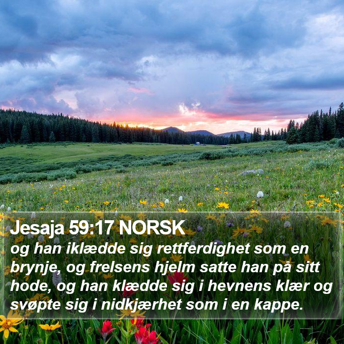 Jesaja 59:17 NORSK - og han iklædde sig rettferdighet som en brynje,