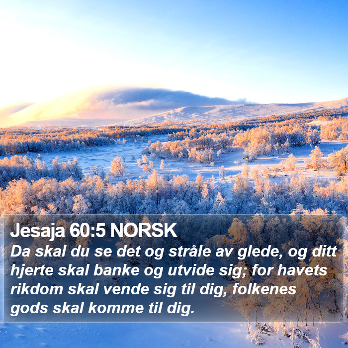 Jesaja 60:5 NORSK - Da skal du se det og stråle av glede, og ditt