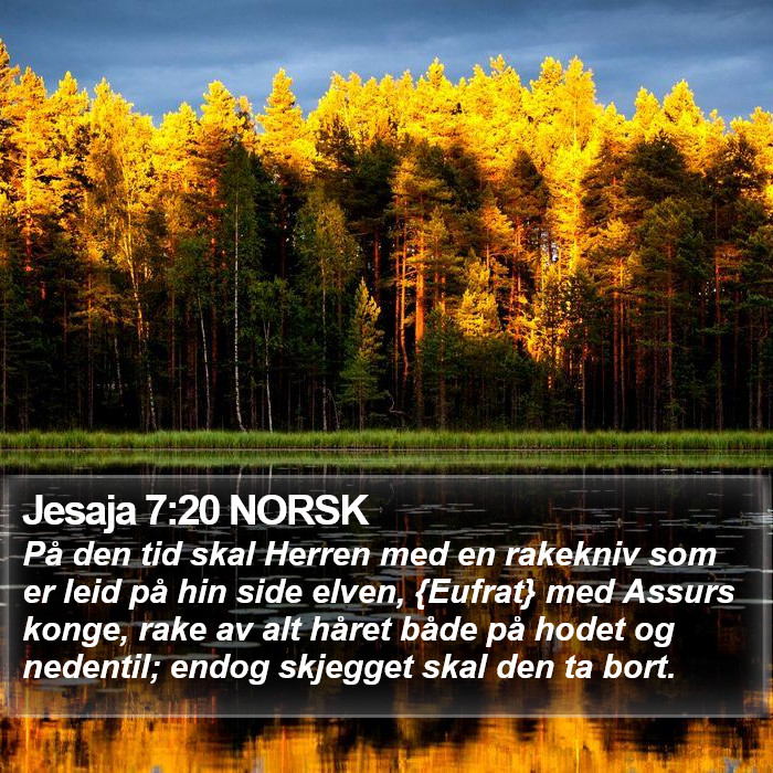 Jesaja 7:20 NORSK - På den tid skal Herren med en rakekniv som er