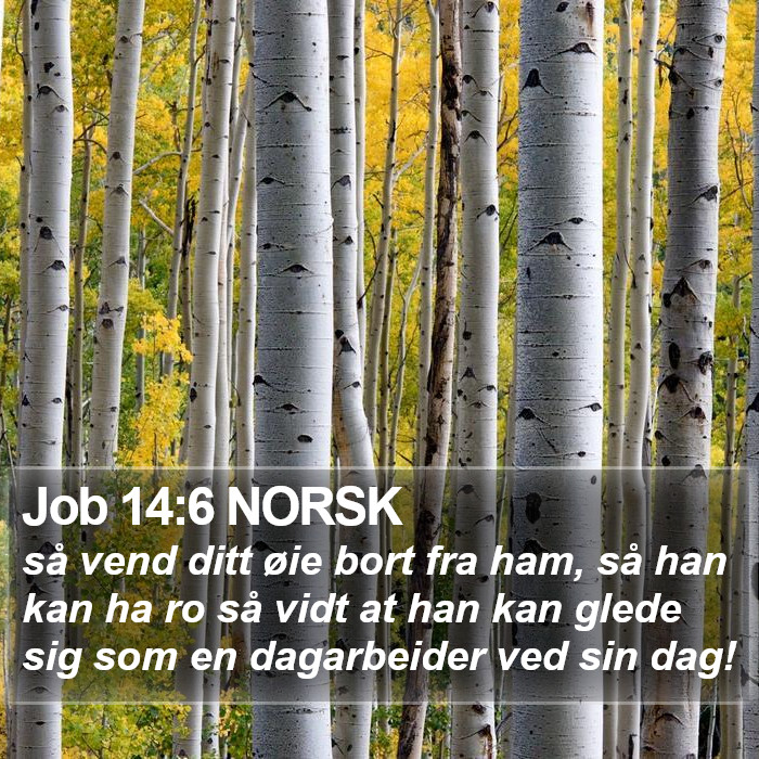 Job 14:6 NORSK - så vend ditt øie bort fra ham, så han kan ha