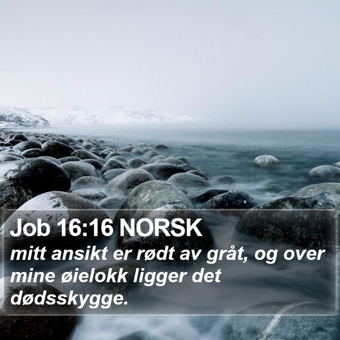 Job 16:16 NORSK - mitt ansikt er rødt av gråt, og over mine