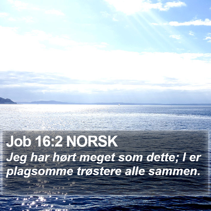 Job 16:2 NORSK - Jeg har hørt meget som dette; I er plagsomme