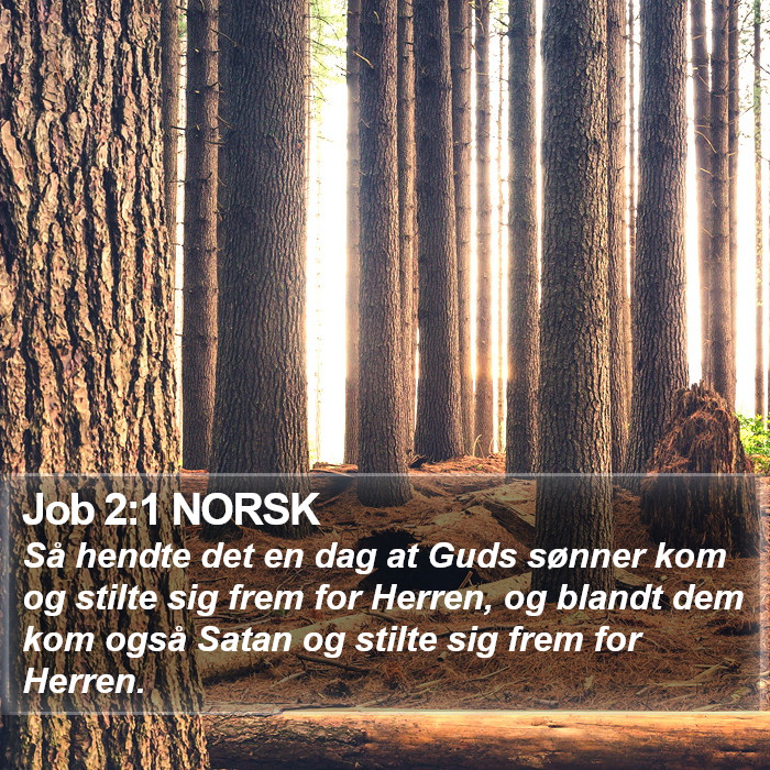 Job 2:1 NORSK - Så hendte det en dag at Guds sønner kom og