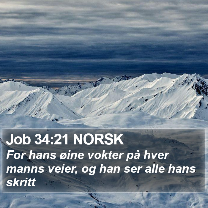 Job 34:21 NORSK - For hans øine vokter på hver manns veier, og