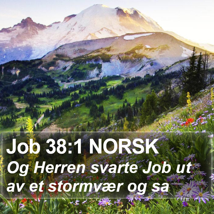 Job 38:1 NORSK - Og Herren svarte Job ut av et stormvær og