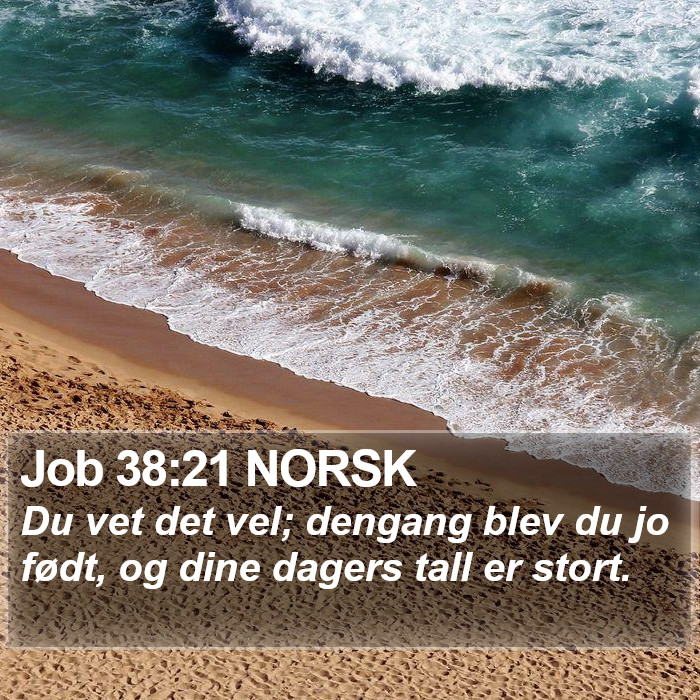 Job 38:21 NORSK - Du vet det vel; dengang blev du jo født, og dine