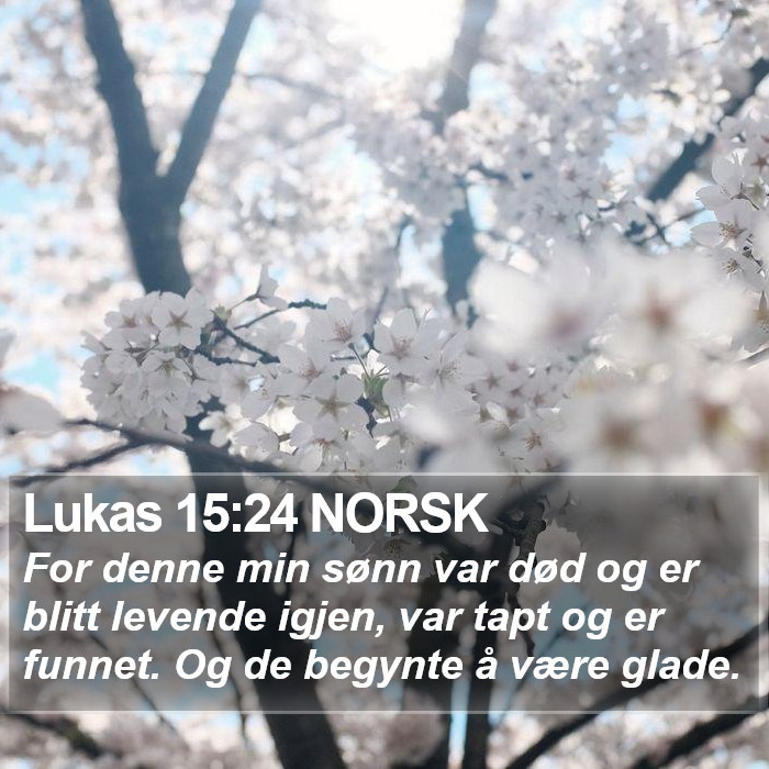 Lukas 15:24 NORSK - For denne min sønn var død og er blitt levende