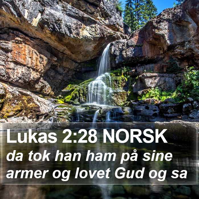 Lukas 2:28 NORSK - da tok han ham på sine armer og lovet Gud og