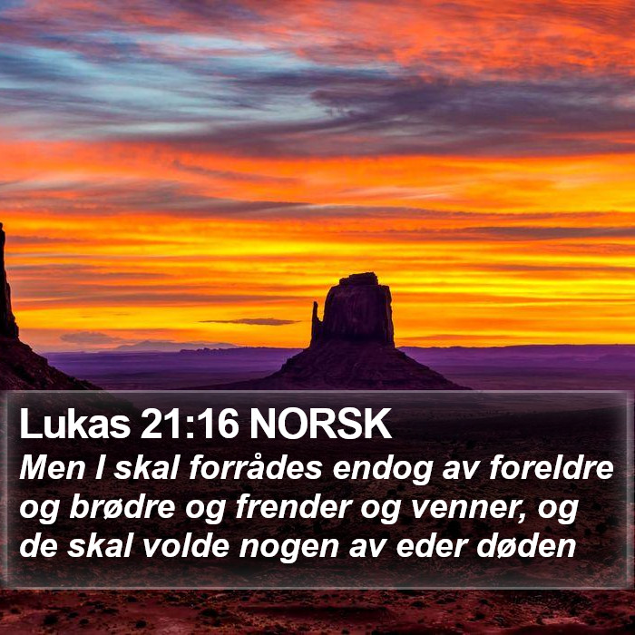 Lukas 21:16 NORSK - Men I skal forrådes endog av foreldre og brødre