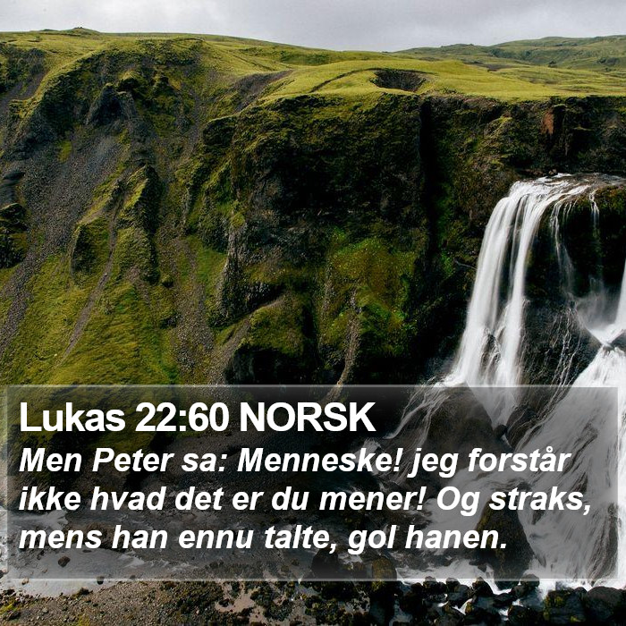 Lukas 22:60 NORSK - Men Peter sa: Menneske! jeg forstår ikke hvad