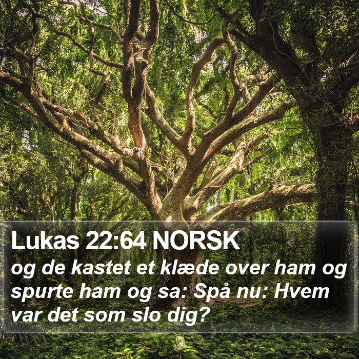 Lukas 22:64 NORSK - og de kastet et klæde over ham og spurte ham og