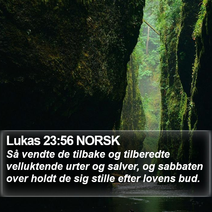 Lukas 23 Bible Images - Lukas Chapter 23 NORSK Bible Verse Pictures