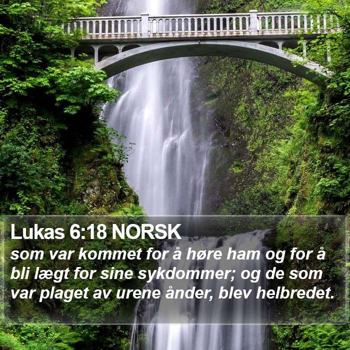 Lukas 6:18 NORSK - som var kommet for å høre ham og for å bli