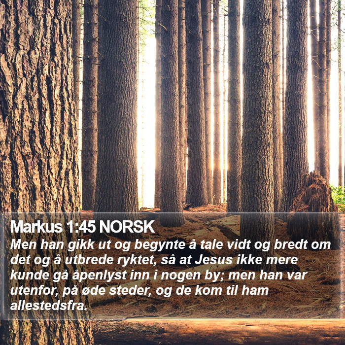 Markus 1 Bible Images - Markus Chapter 1 NORSK Bible Verse Pictures