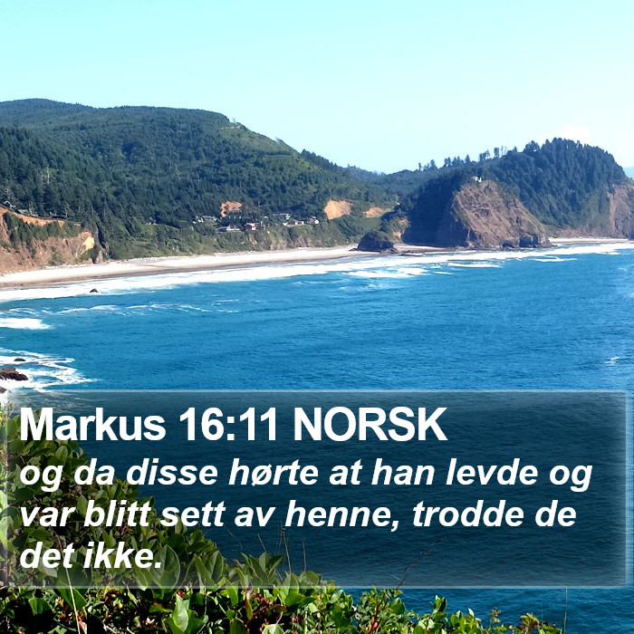 Markus 16:11 NORSK - og da disse hørte at han levde og var blitt sett