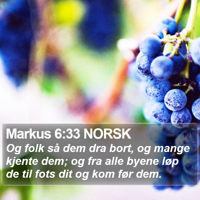 Markus 6:33 NORSK - Og folk så dem dra bort, og mange kjente dem; og