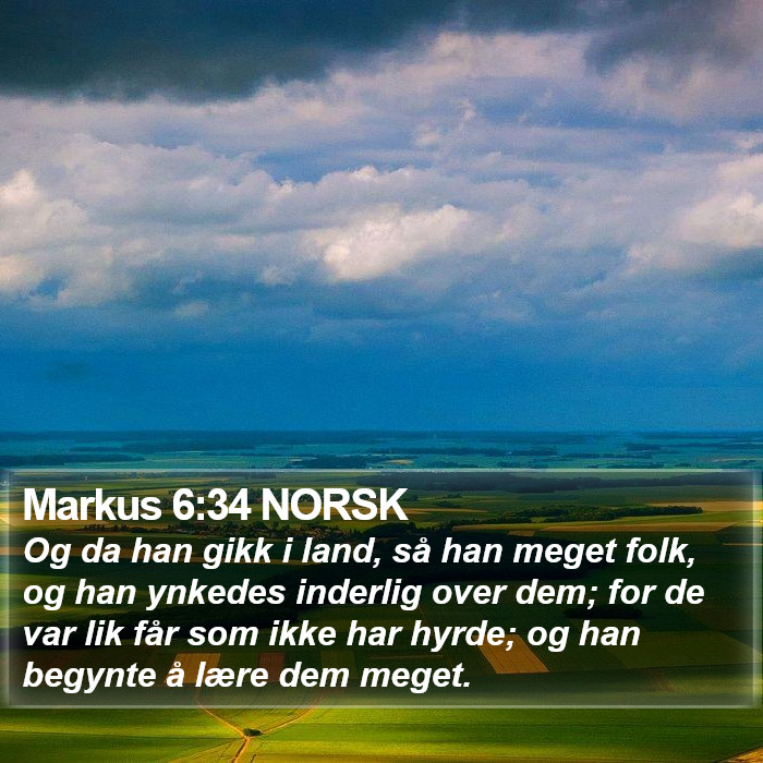 Markus 6:34 NORSK - Og da han gikk i land, så han meget folk, og han
