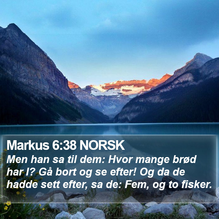 Markus 6:38 NORSK - Men han sa til dem: Hvor mange brød har I? Gå