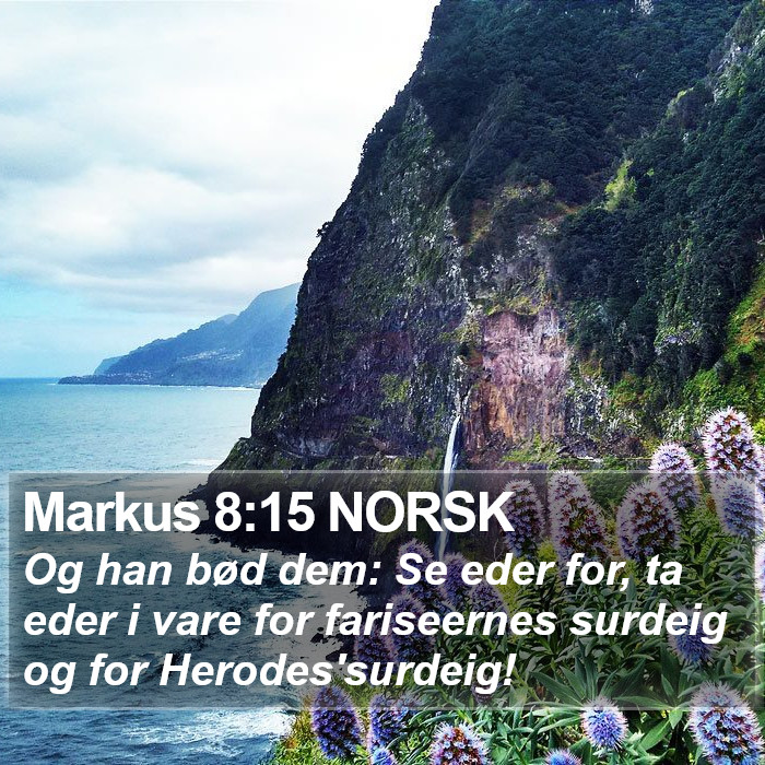 Markus 8:15 NORSK - Og han bød dem: Se eder for, ta eder i vare for