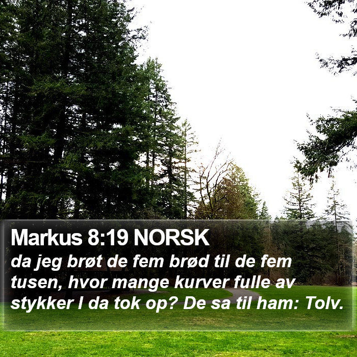 Markus 8:19 NORSK - da jeg brøt de fem brød til de fem tusen, hvor